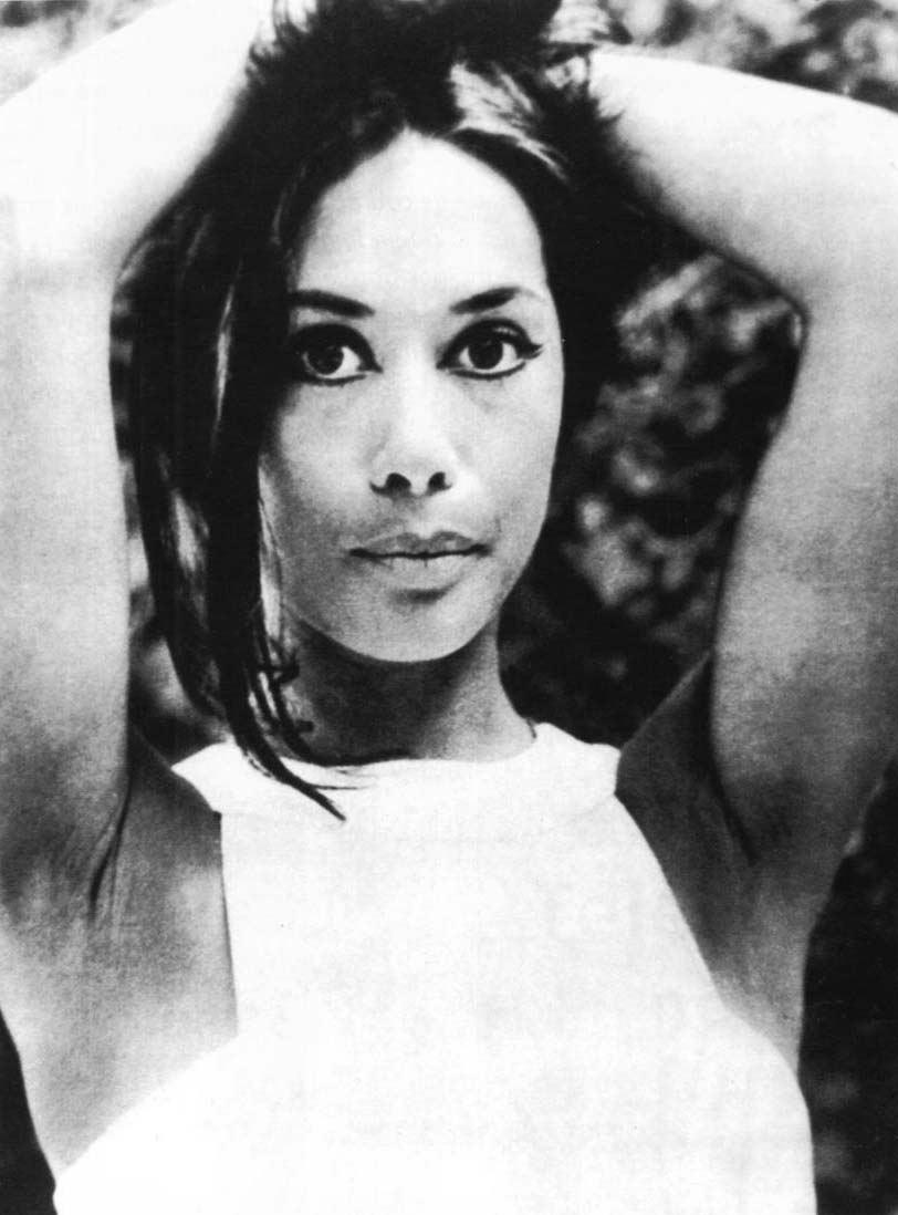 Dina Sfat- Palmas prá guerreira: DINA SFAT EM SUA 3º NOVELA A INTRUSA ...