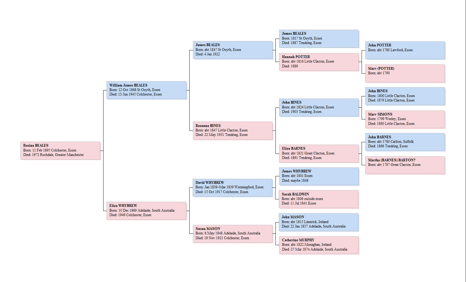 CLOGS AND CLIPPERS: Beales family