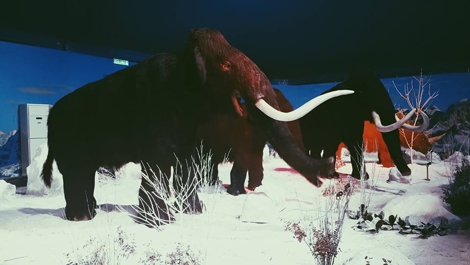 ICE AGE ALIVE KL 2018 : PAMERAN PENDIDIKAN MEGAFAUNA DI ZAMAN ICE AGE