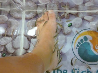 smartmania: Fish Spa in Malta