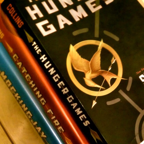 Emily Battaglia's Blog: What to Read After The Hunger Games