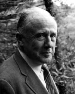 Critique of Pure Interest: The Self-Observing Universe: Wheeler ...