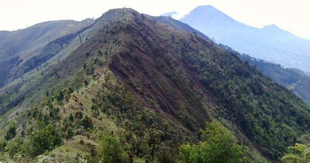 Ragam Pilihan Jalur Pendakian Gunung Dieng Untuk Anda | Pengetahuan ...