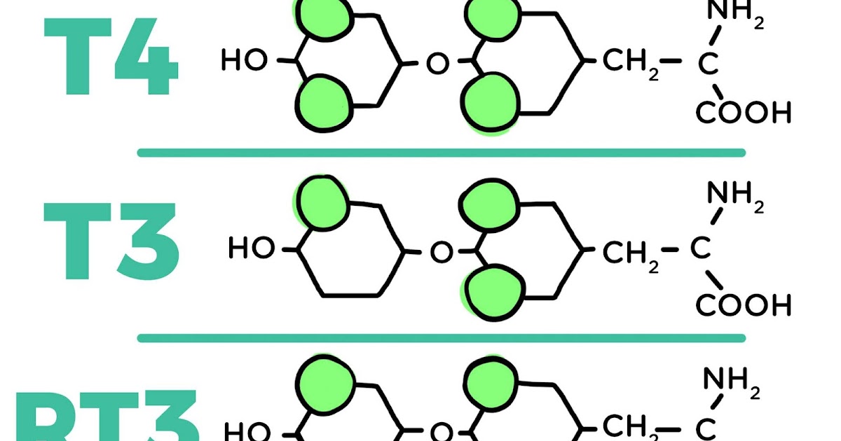 Hypotiroidismo Autoinmune: T3 LIBRE - La hormona tiroidea mas importante!