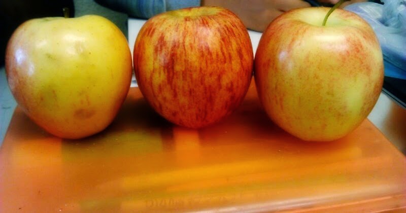 Making magic by Tracy