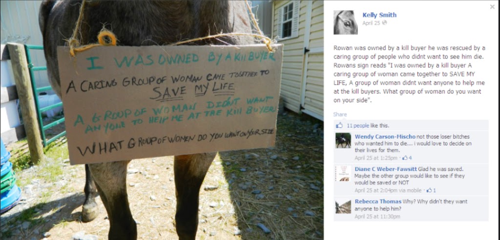 The Ethics of Equine Rescue: Here's Your Sign