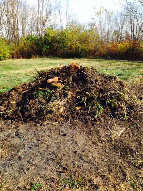Jan's Jars: The Compost Pile