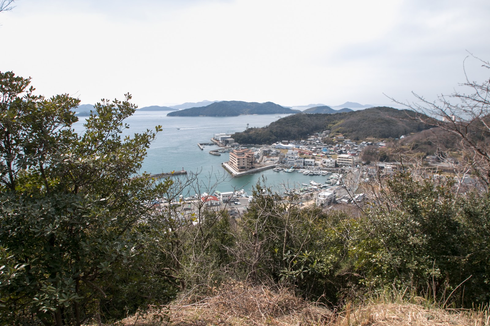Shimotsui Castle -Castle looking down straight and bridge- | Ken's ...
