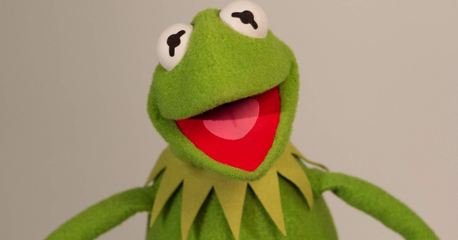 Our Herp Class: Class Mascot: Kermit the Frog