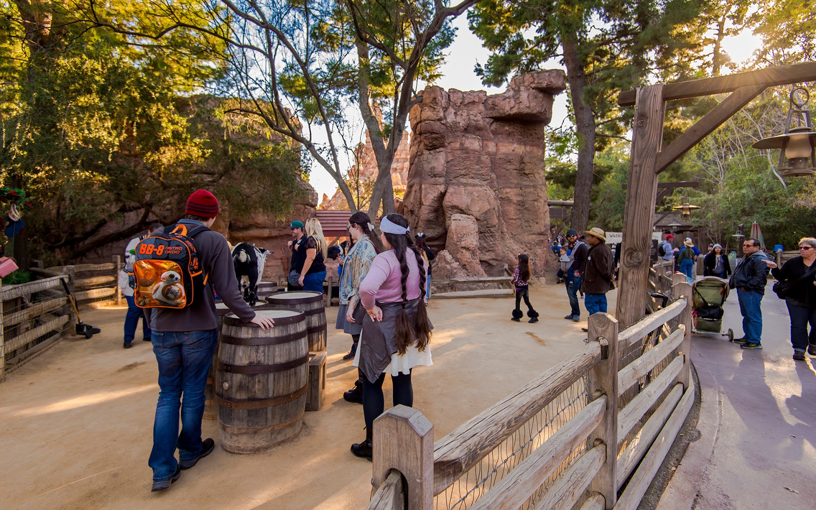Farewell to Big Thunder Ranch