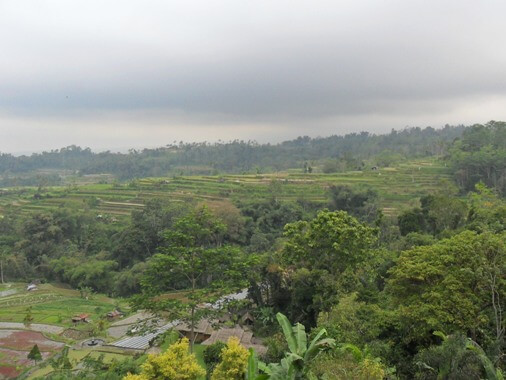 Pacung rice terrace Bali - Beautiful valley & Rice Terrace in Tabanan Bali