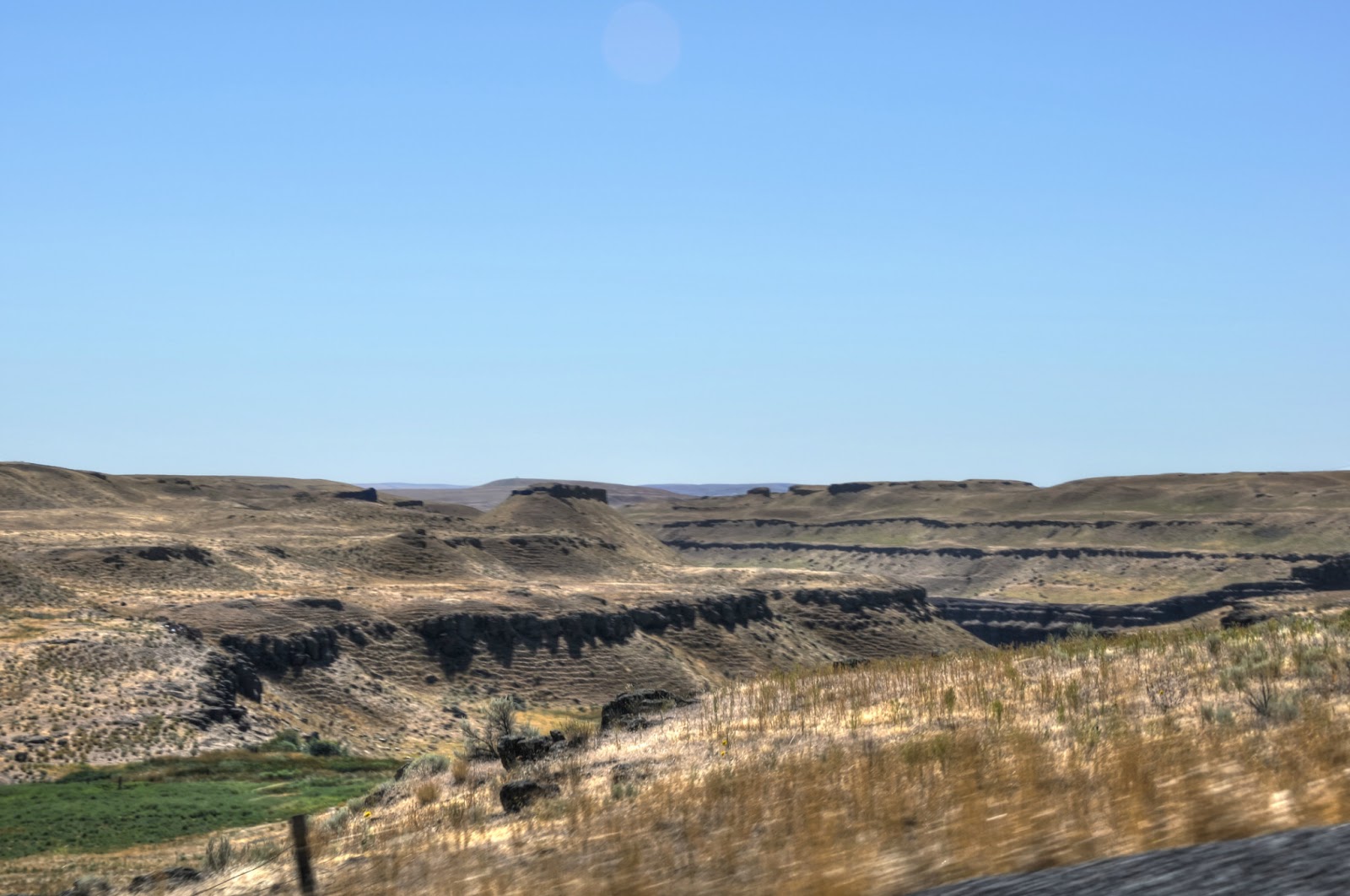 nature big nature small: driving past some scabbiness