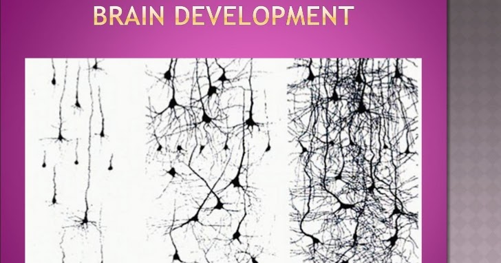 Healthy Tips: Importance of early childhood care and practices and ...