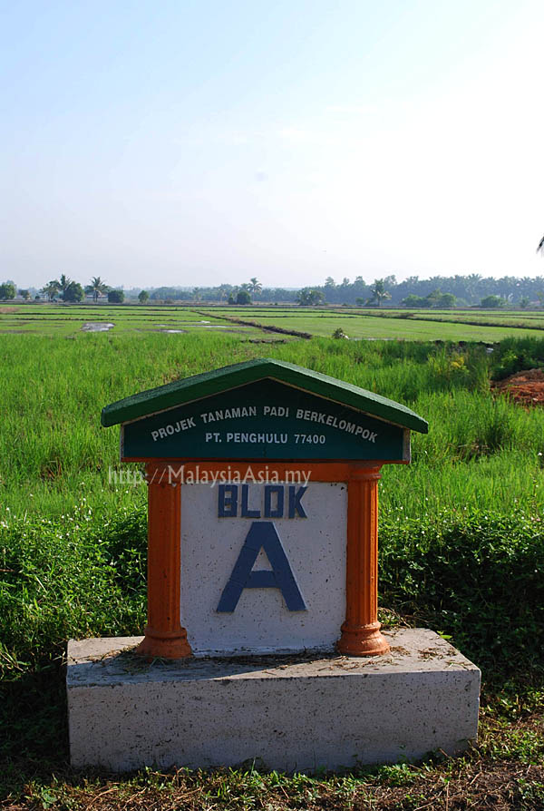 Agro Homestay in Melaka - Malaysia Asia