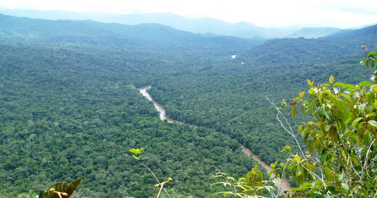 areas naturales protegidas-Condorcanqui: Parque Nacional Ichigkat Muja ...