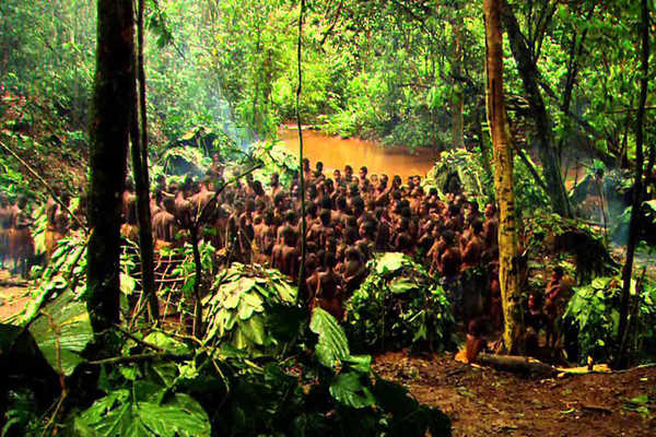 Onda terráquea: Llamarás JENGI a los reyes de la selva africana