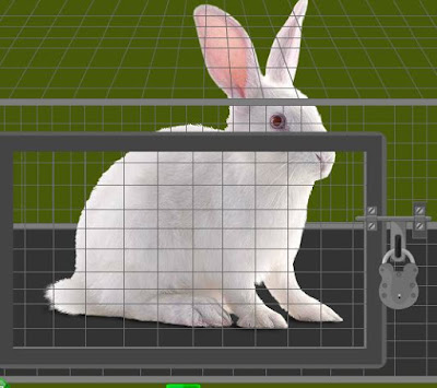 White Rabbit Escape | Juegos de Escape. Escape Games. Escape Room Online