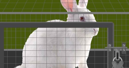 White Rabbit Escape | Juegos de Escape. Escape Games. Escape Room Online