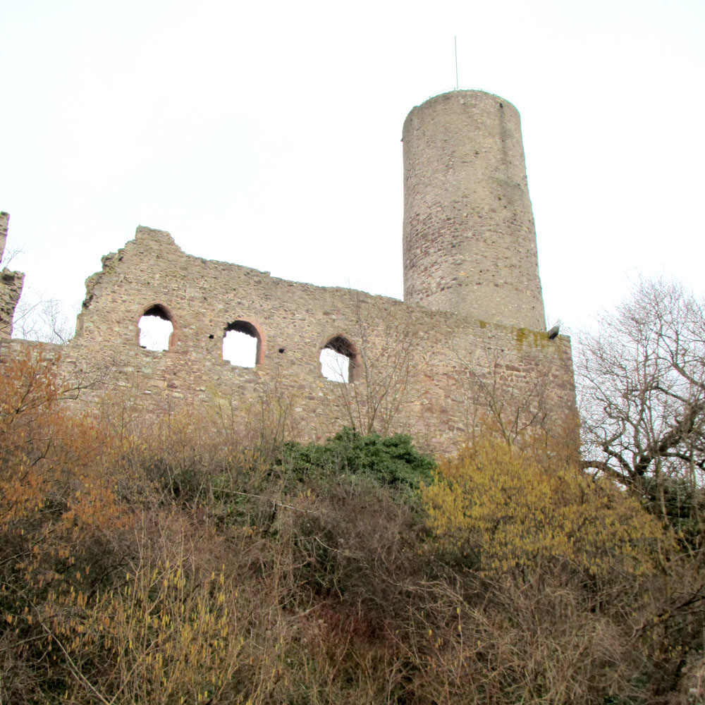 Travels with Auntie M: Schloss Strahlenburg, Schriesheim, Germany - 19 ...