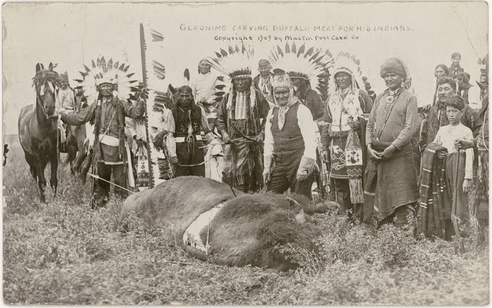 West-Native American Experience: The uses and importance of the native ...