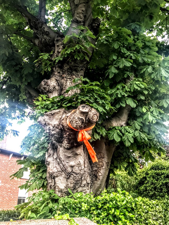 Patrick Comerford: Why Rathgar residents fear their community may ...