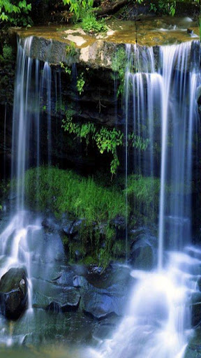 Screensaver: Android Wallpapers