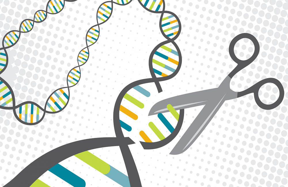 El CRISPR-CAS9. ¿Que es? Y todo sobre ello.