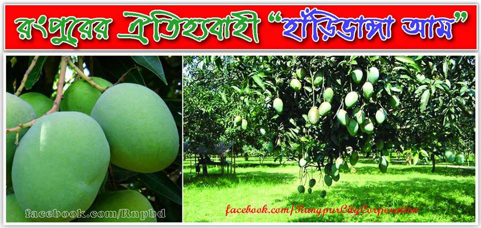 Rangpur Information Hub