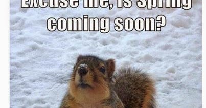 Inside the Folkosphere...: Coming soon .... SPRING!