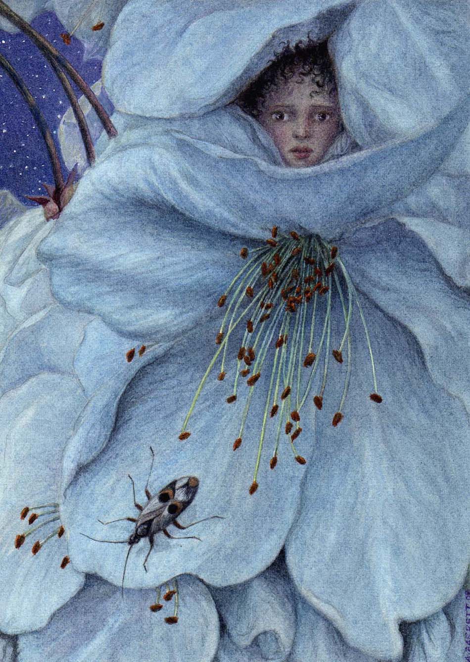 TinyRed: Angela Barrett