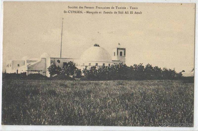 CULTURE et PATRIMOINE DE TUNISIE EN IMAGES- MOHAMED HAMDANE-ثقافة وتراث ...