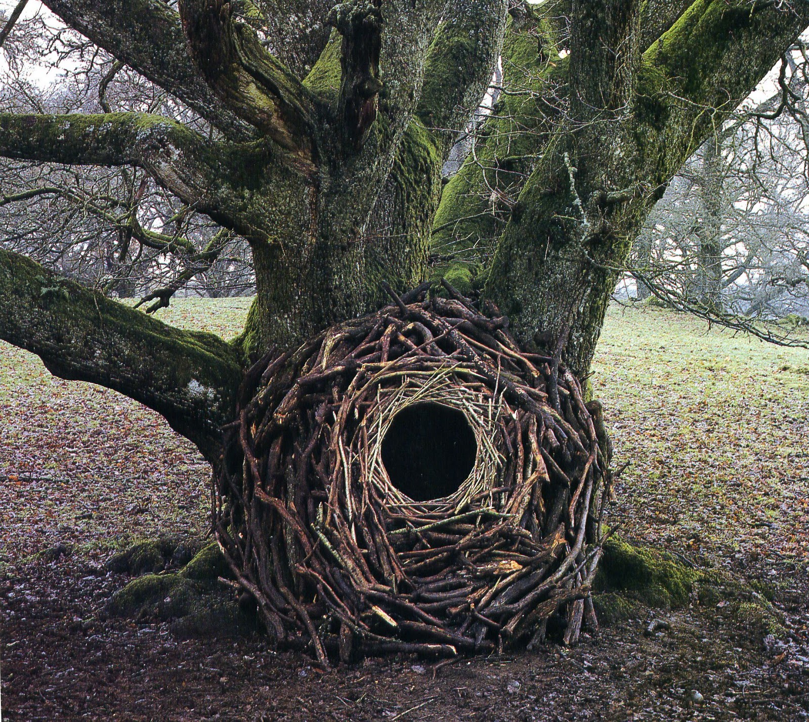 Ephémères : Connaissez-vous Andy Goldsworthy?