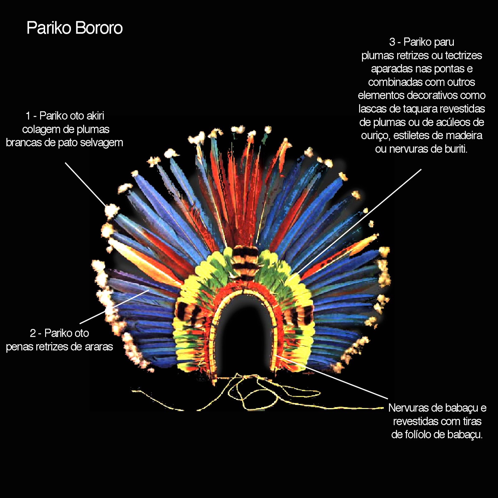 Povos Indígenas Brasileiros: Bororo