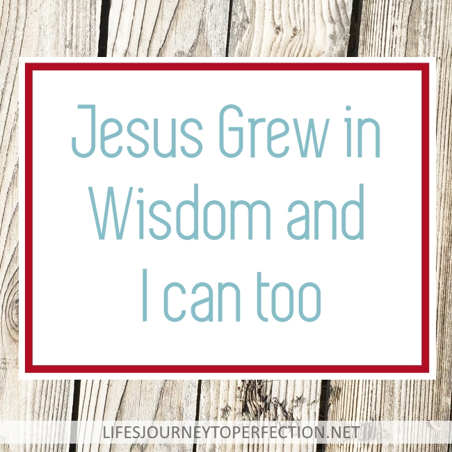 Life's Journey To Perfection: 2017 Sharing Time Ideas for December Week ...