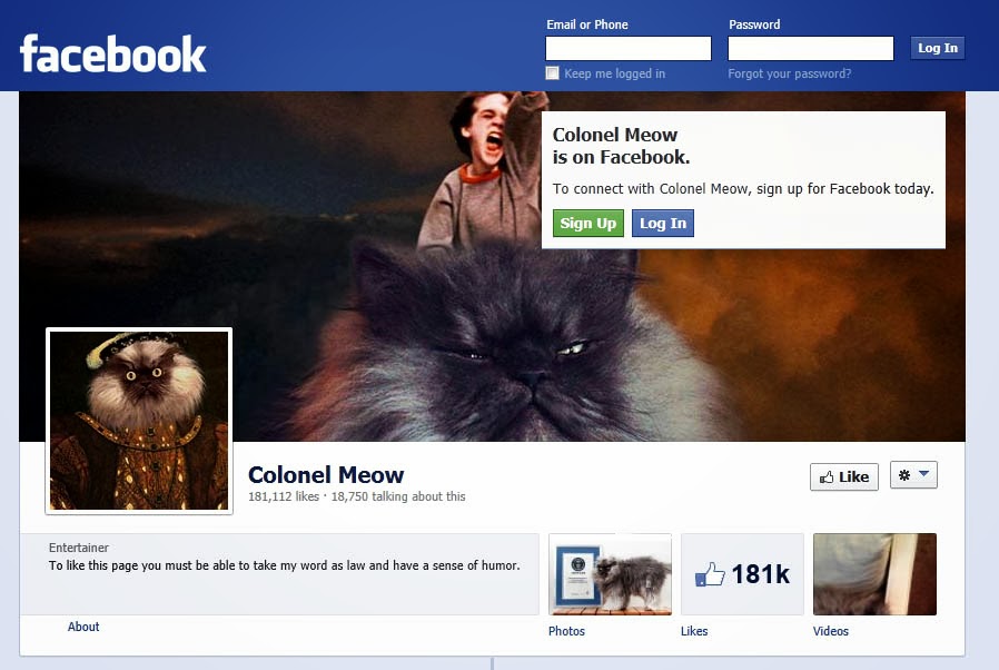 Four legged friends (and enemies): Me-wow! Colonel Meow sets record for ...