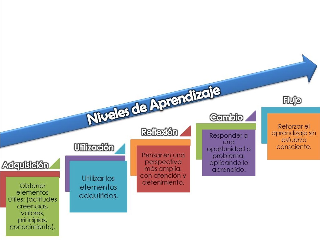El éxito a través del aprendizaje: Aprendizaje Organizacional