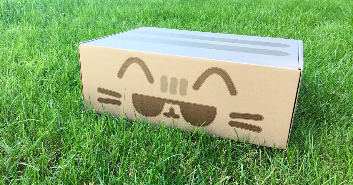 Chicachu: Pusheen Box #1 Summer Box!