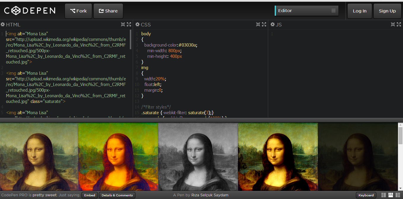 Web Developer: CSS Filter Effects