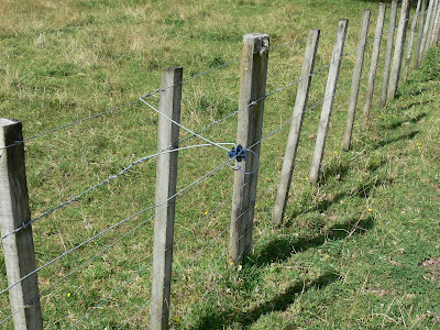 Woolshed 1: New Zealand farming. Electric power fencing – Glossary of ...