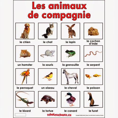 Manuel · Français Langue Étrangère: Les animaux de compagnie