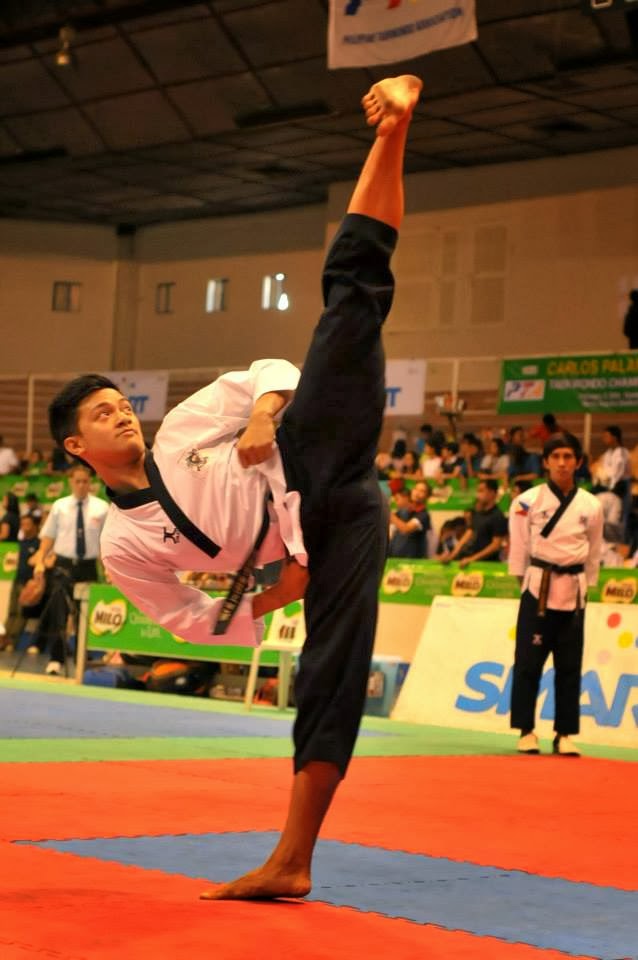 Rodolfo Llena Reyes Jr. "Junior Reyes": CARLOS PALANCA JR. 2014