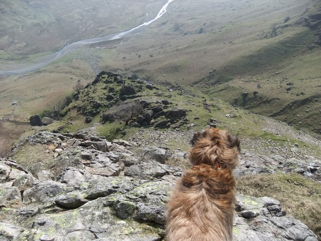 Keswick Rambles Lake District Guided Walks: Cam Crag Ridge.