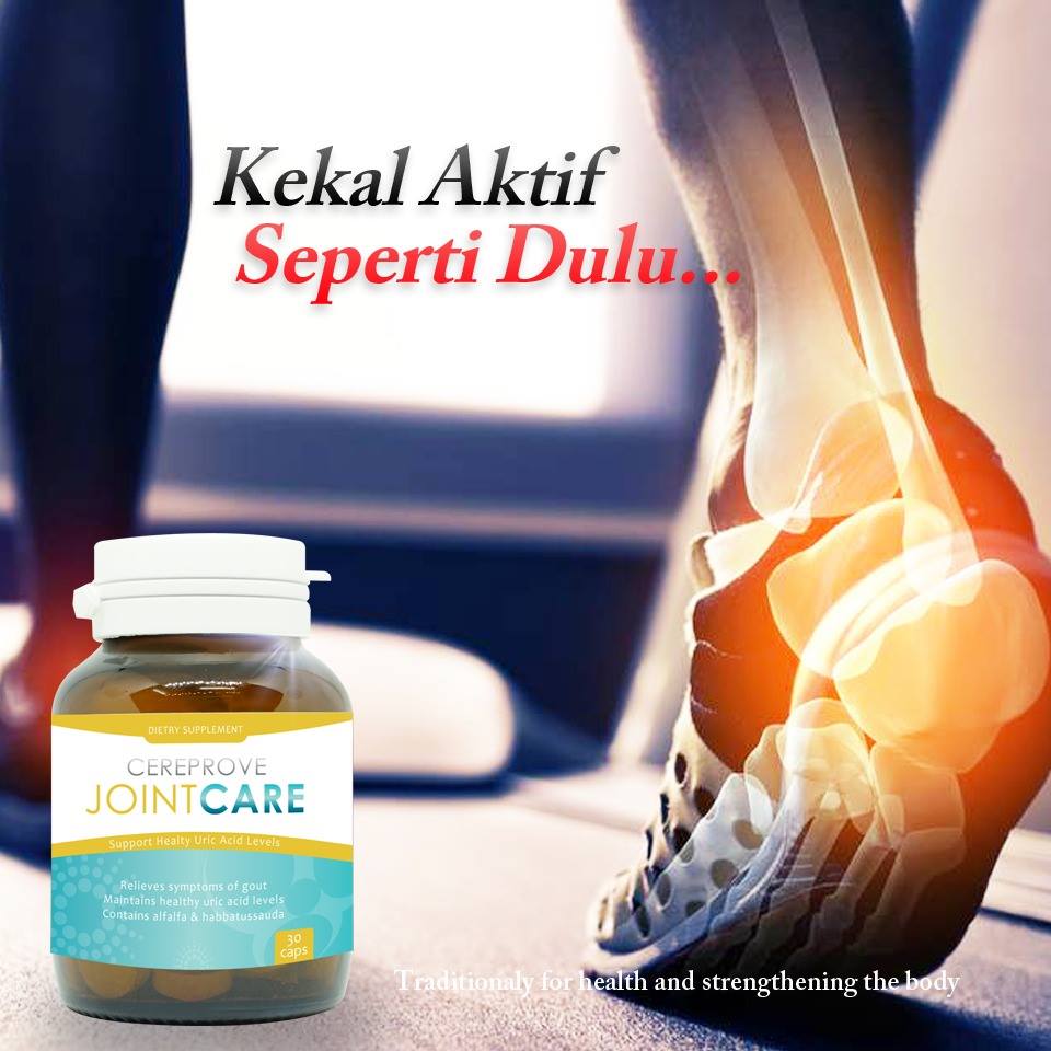 Mr Ed harap Tuan/Puan jangan melengahkan untuk rawat lutut tu. Sebab ...