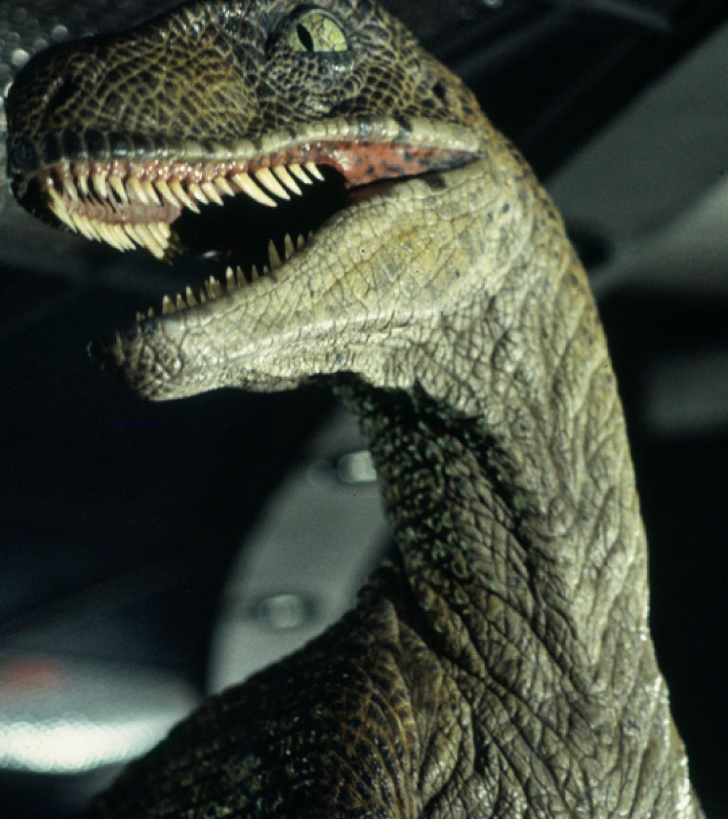 WHT.RBT.OBJ: Velociraptor's 1980s Roots