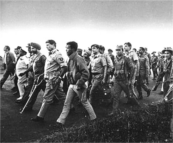 C r e t i v e Satellite: Crack Platoon: the urban guerilla fighters of 1971