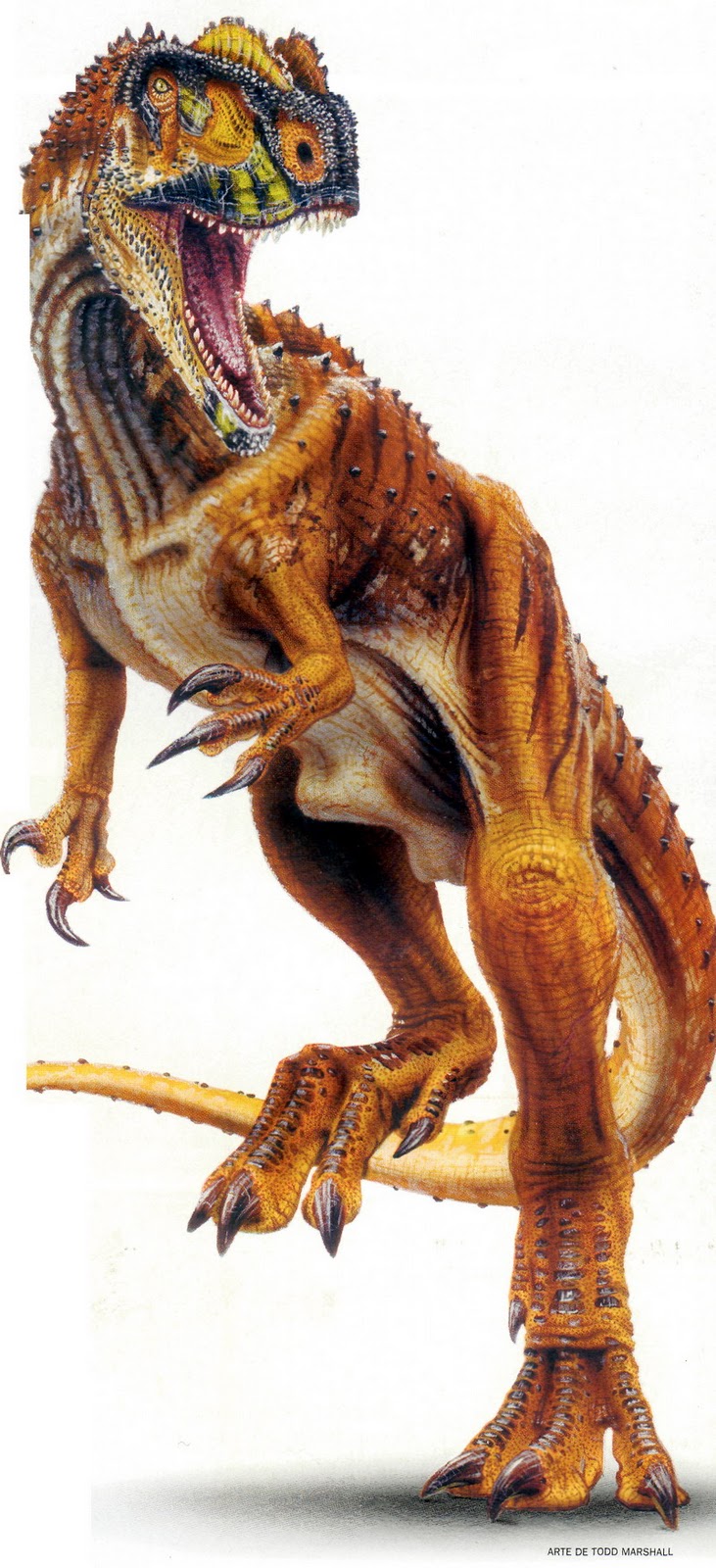 FIM DOS TEMPOS: o que aconteceu com os Dinossauros