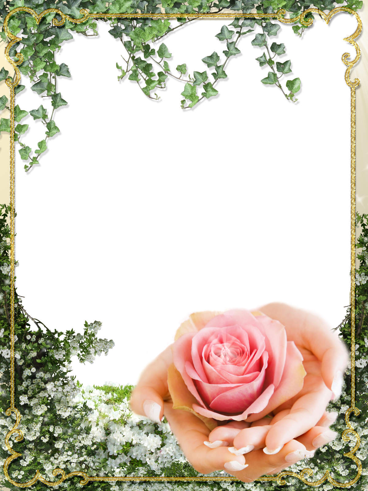 FramesPNG alta resolução flores | Imagens Png fundo transparente grátis