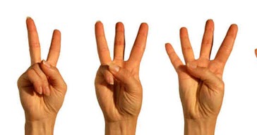 The Rule of Three / Five or Six ~ C++ Learning Tutorials