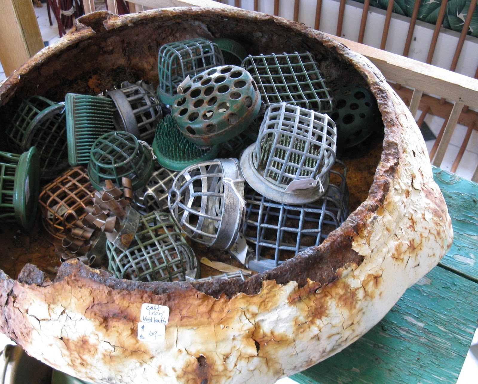 Frog Parent Portal Mayflower