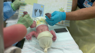 Chase's Journey: Chase Alexander Kazaros- The Arrival